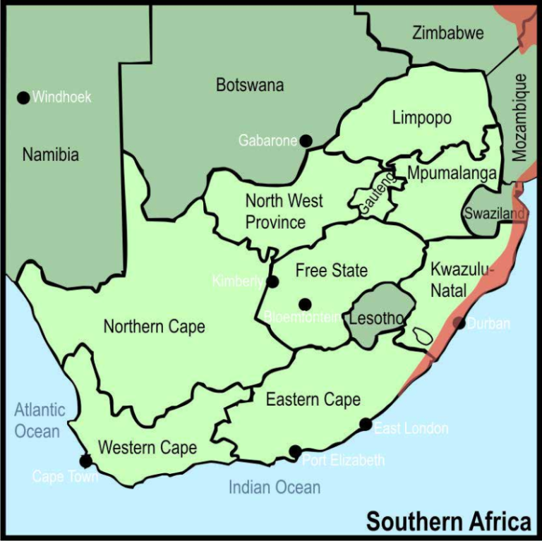 Eastern Green Mamba - African Reptiles & Venom