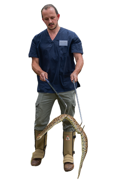 African Reptiles & Venom | Snake Handling & PPE Equipment